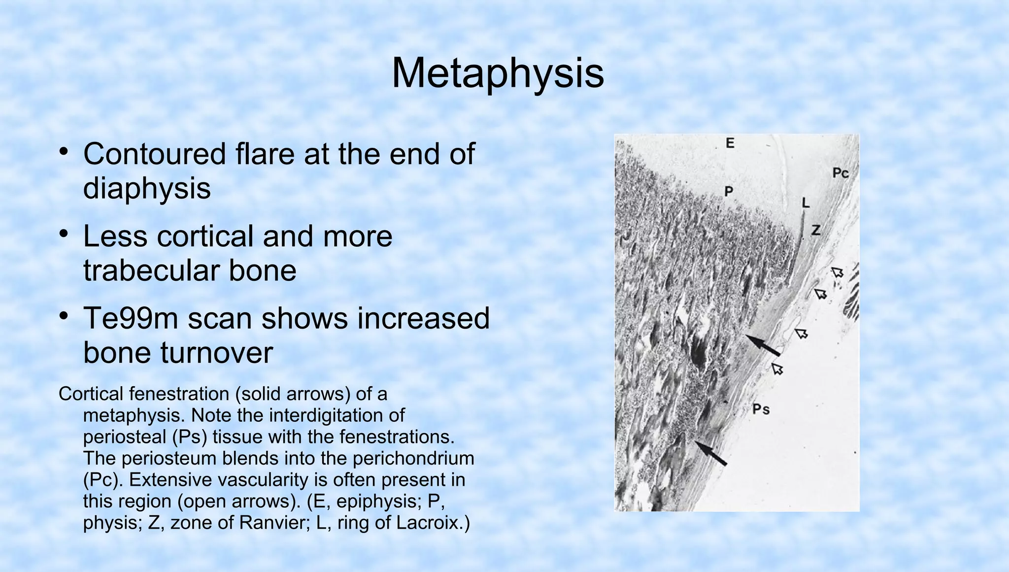 Epiphyseal injury | PPT