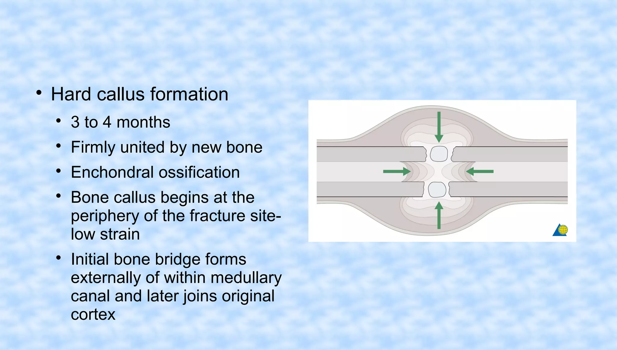 Epiphyseal injury | PPT