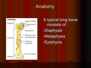 Epiphysis_UTSAV | PPT