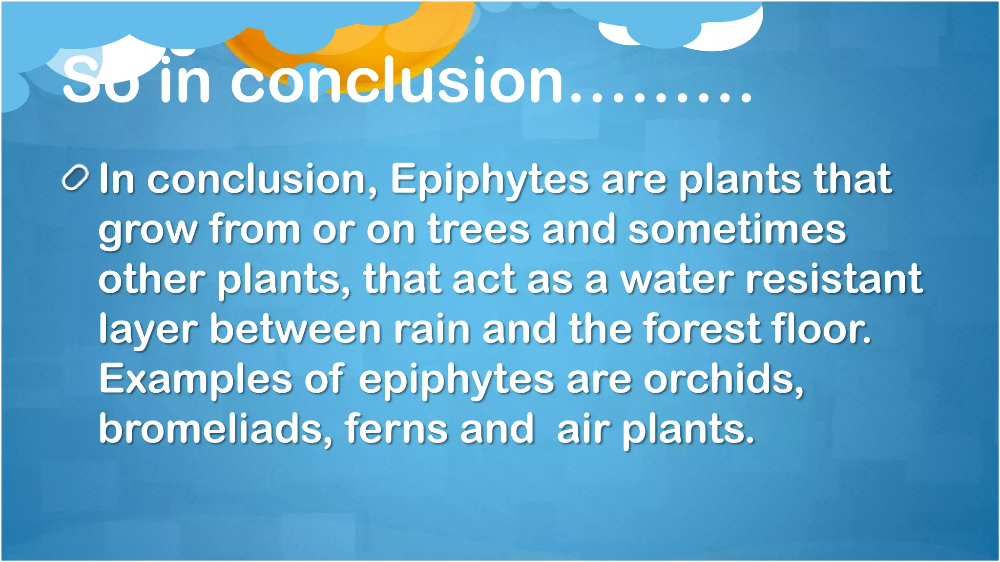 Zoo U epiphyte powerpoint | PPTX