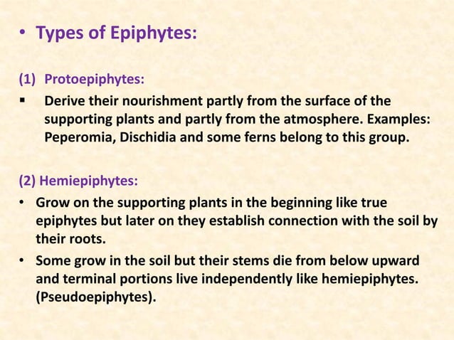 Epiphytes | PDF | Gardening | Home & Garden