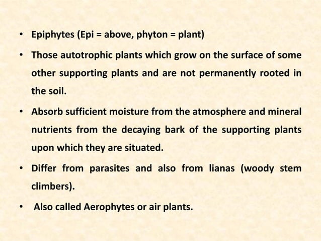 Epiphytes | PDF | Gardening | Home & Garden