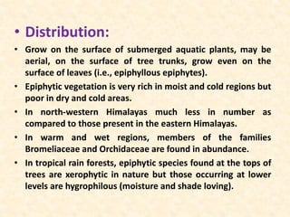 Epiphytes | PDF