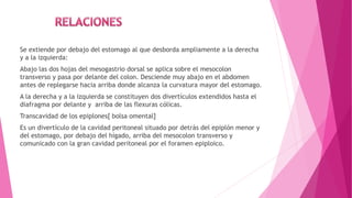 epiplones.pptx