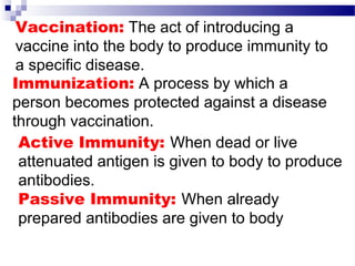 Epi program (blood) | PPT