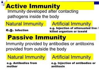 Epi program (blood) | PPT