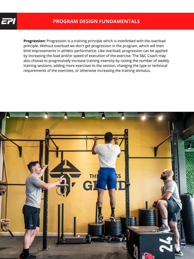 Strength & Conditioning Program Design | PDF | Weightlifting | Sports