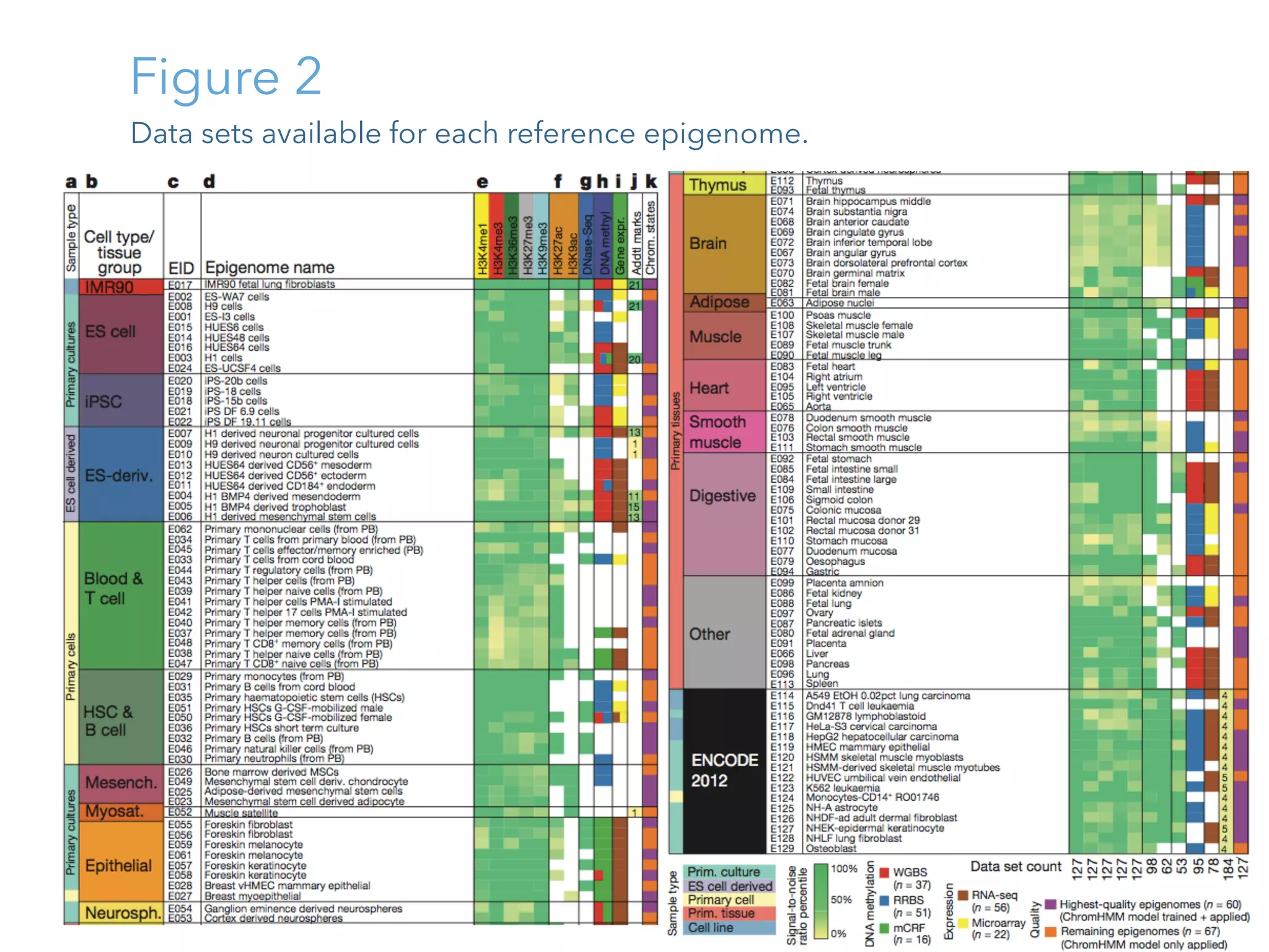 Reading circle of Epigenome Roadmap: Roadmap Epigenomics Consortium et ...
