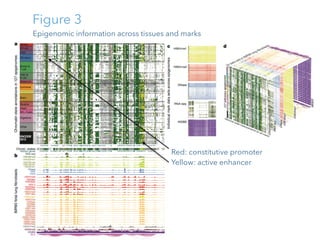 Reading circle of Epigenome Roadmap: Roadmap Epigenomics Consortium et ...