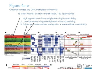 Reading circle of Epigenome Roadmap: Roadmap Epigenomics Consortium et ...