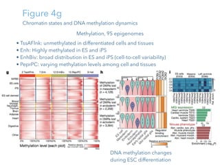 Reading circle of Epigenome Roadmap: Roadmap Epigenomics Consortium et ...