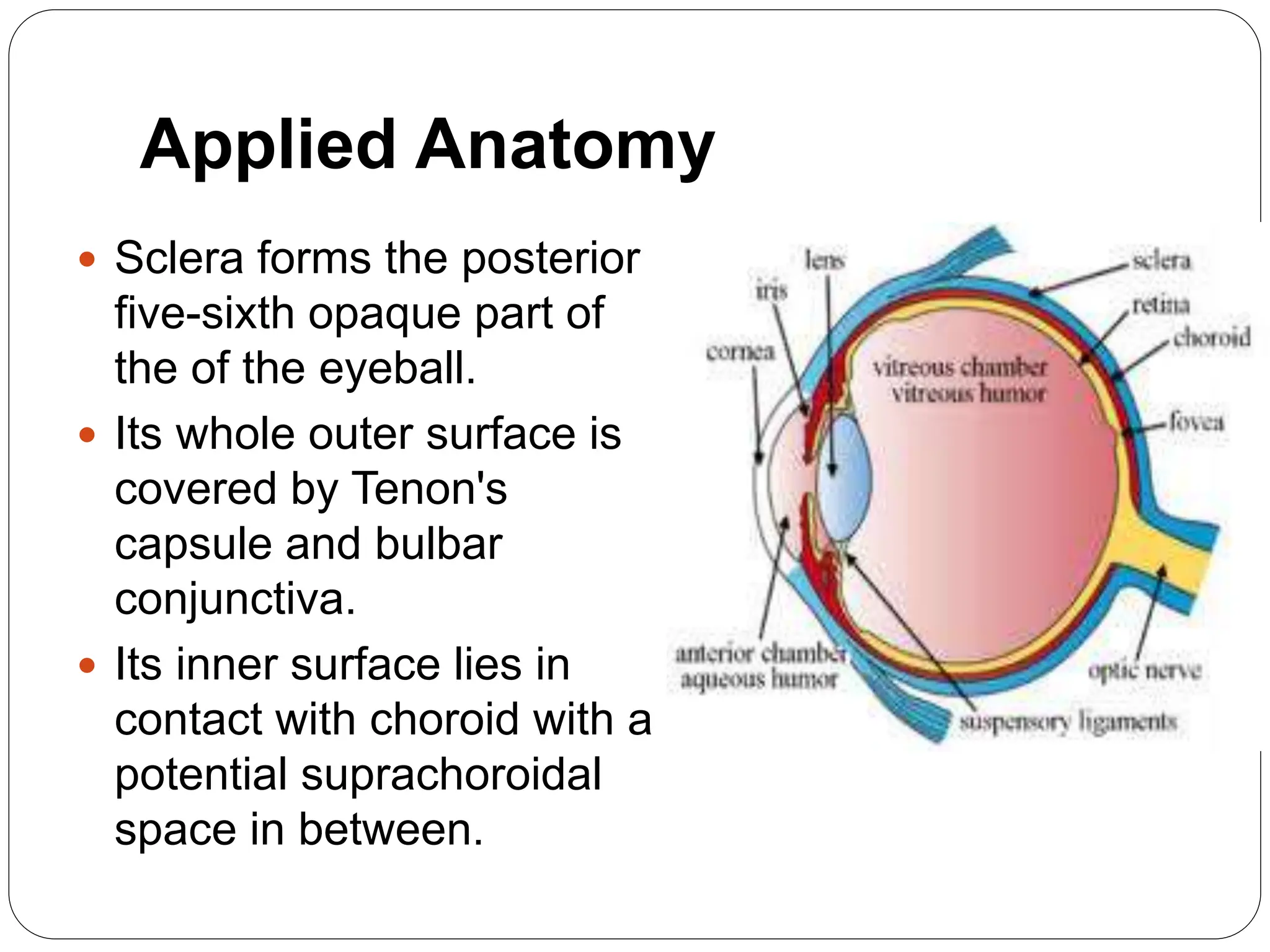 Episcleritis and Scleritis power point presentations | PPTX