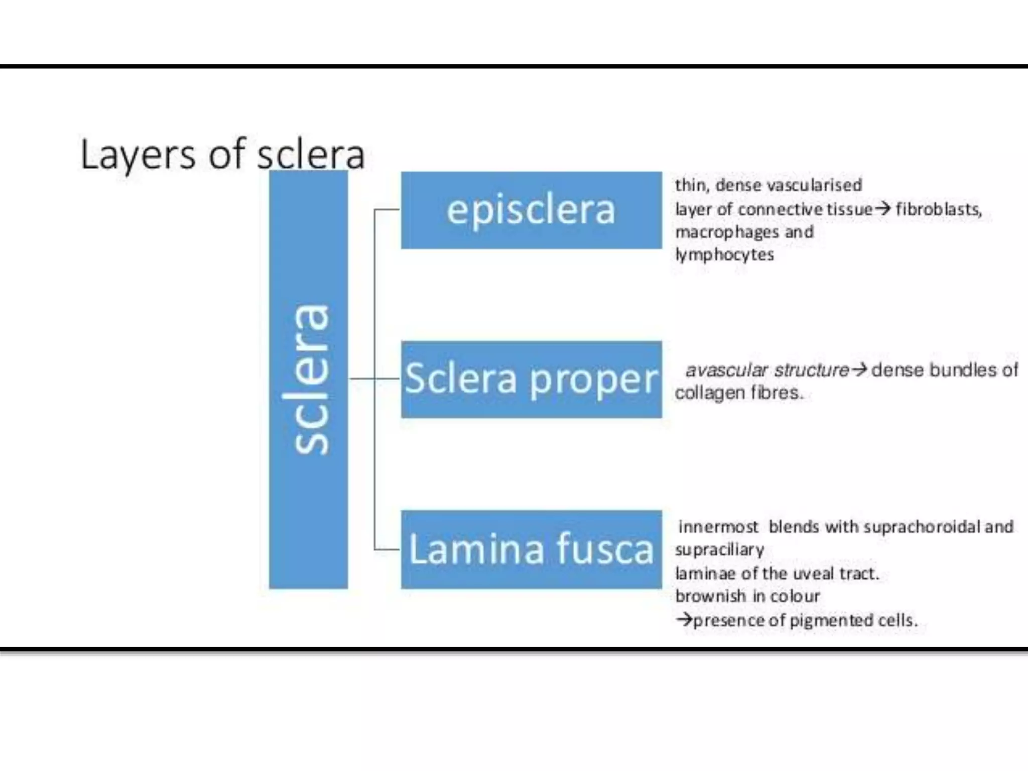 Episcleritis and scleritis | PPTX