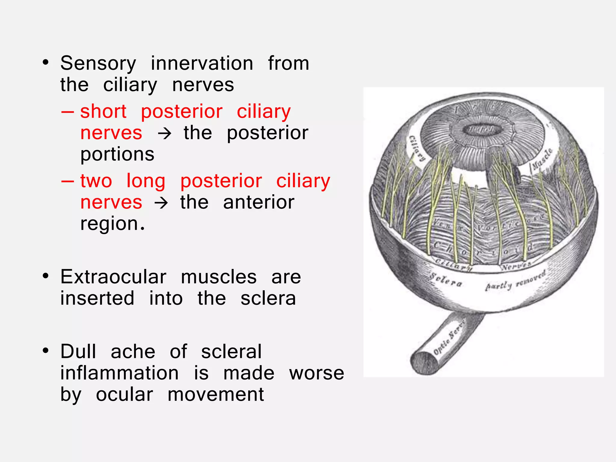 Episcleritis and scleritis | PPTX