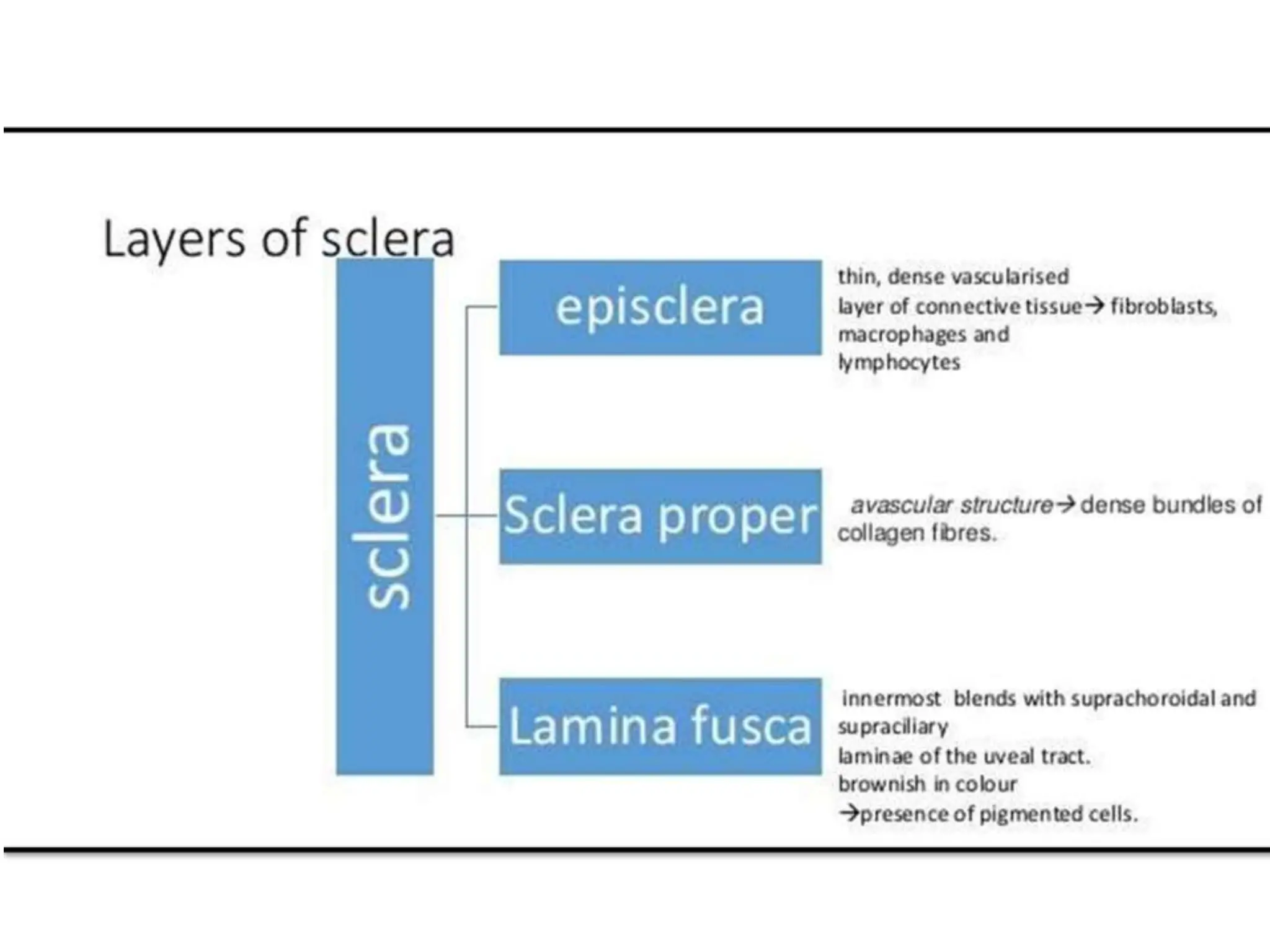 EPISCLERITIS AND SCLERITIS.pptx bbbbbbbb | PPTX