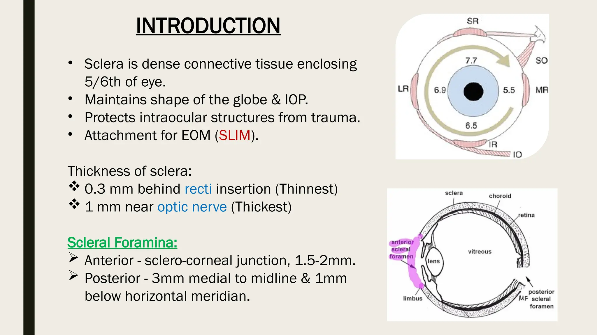 Episcleritis & Scleritis (causes, clinical features, treatment).pptx