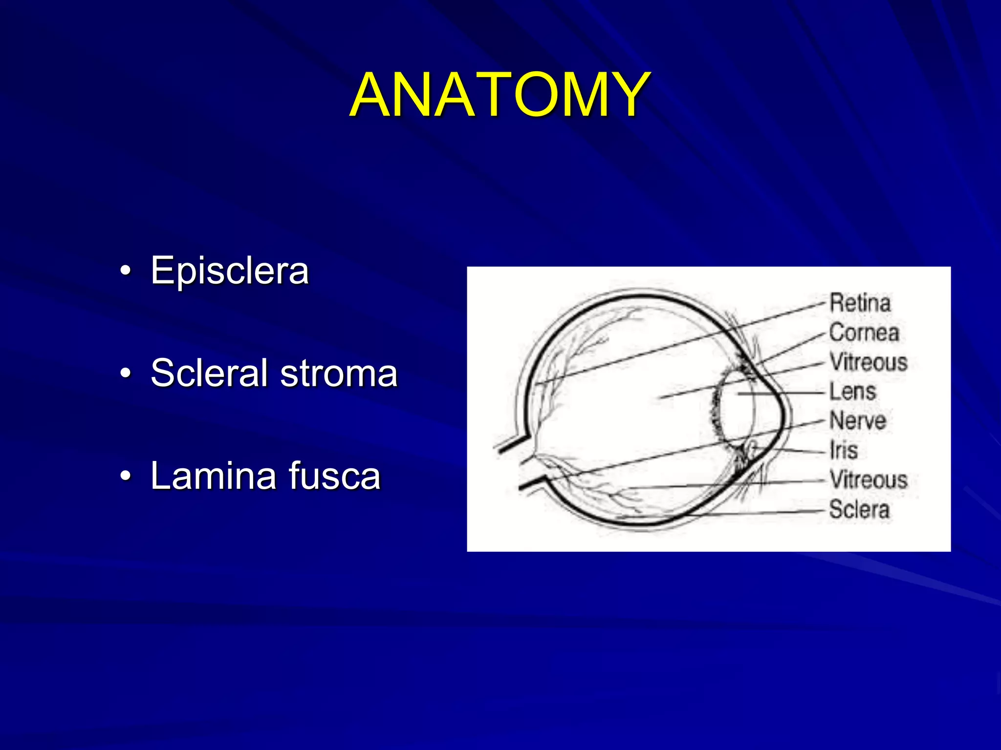 Episcleritis & scleritis | PPT