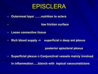 Episcleritis & scleritis | PPT