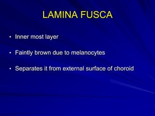 Episcleritis & scleritis | PPT