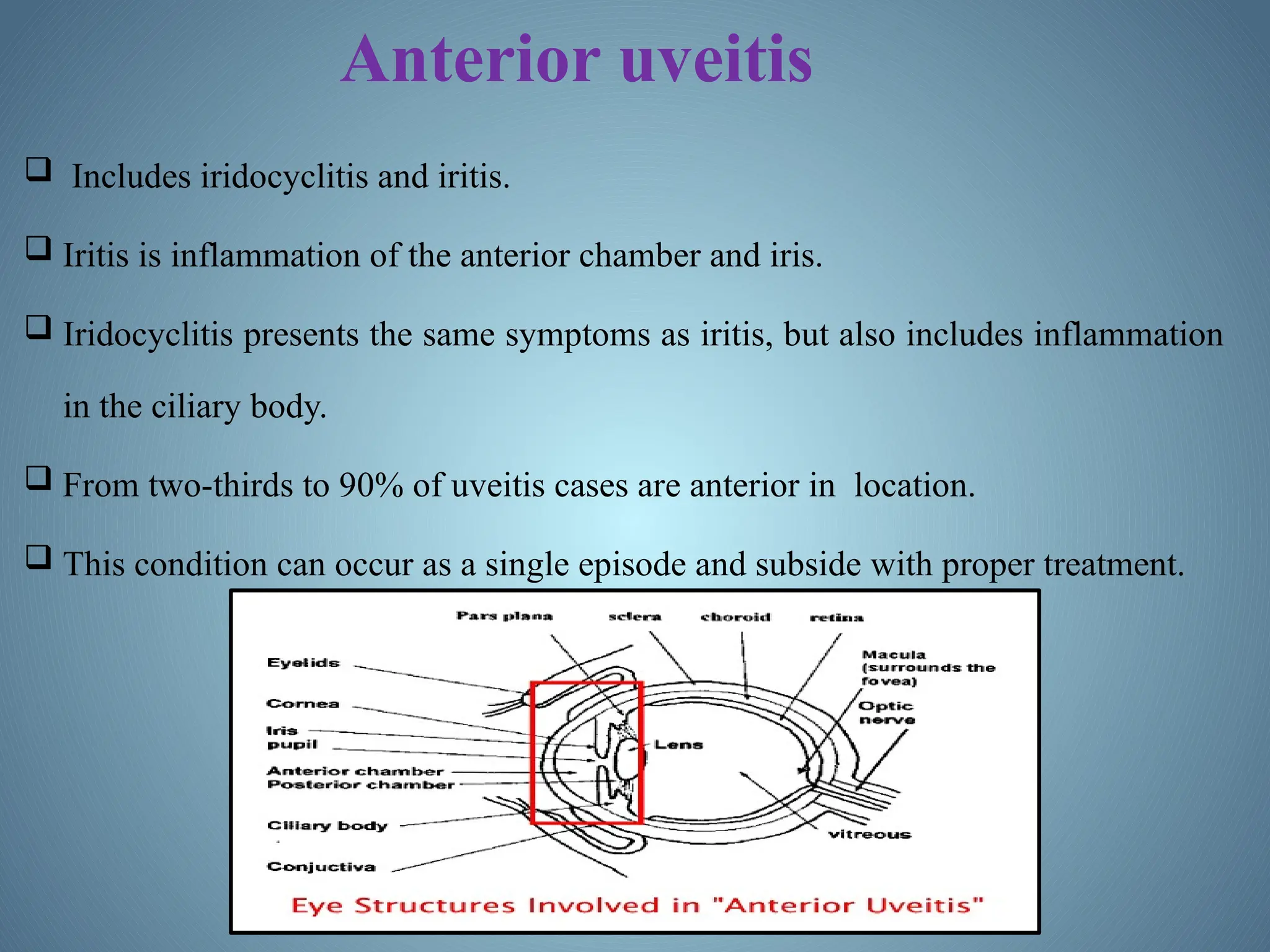 EPISCLERITIS & UVEITIS.ppt eye disorders | PPTX