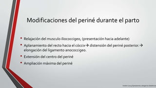 Episiotomía | PPTX