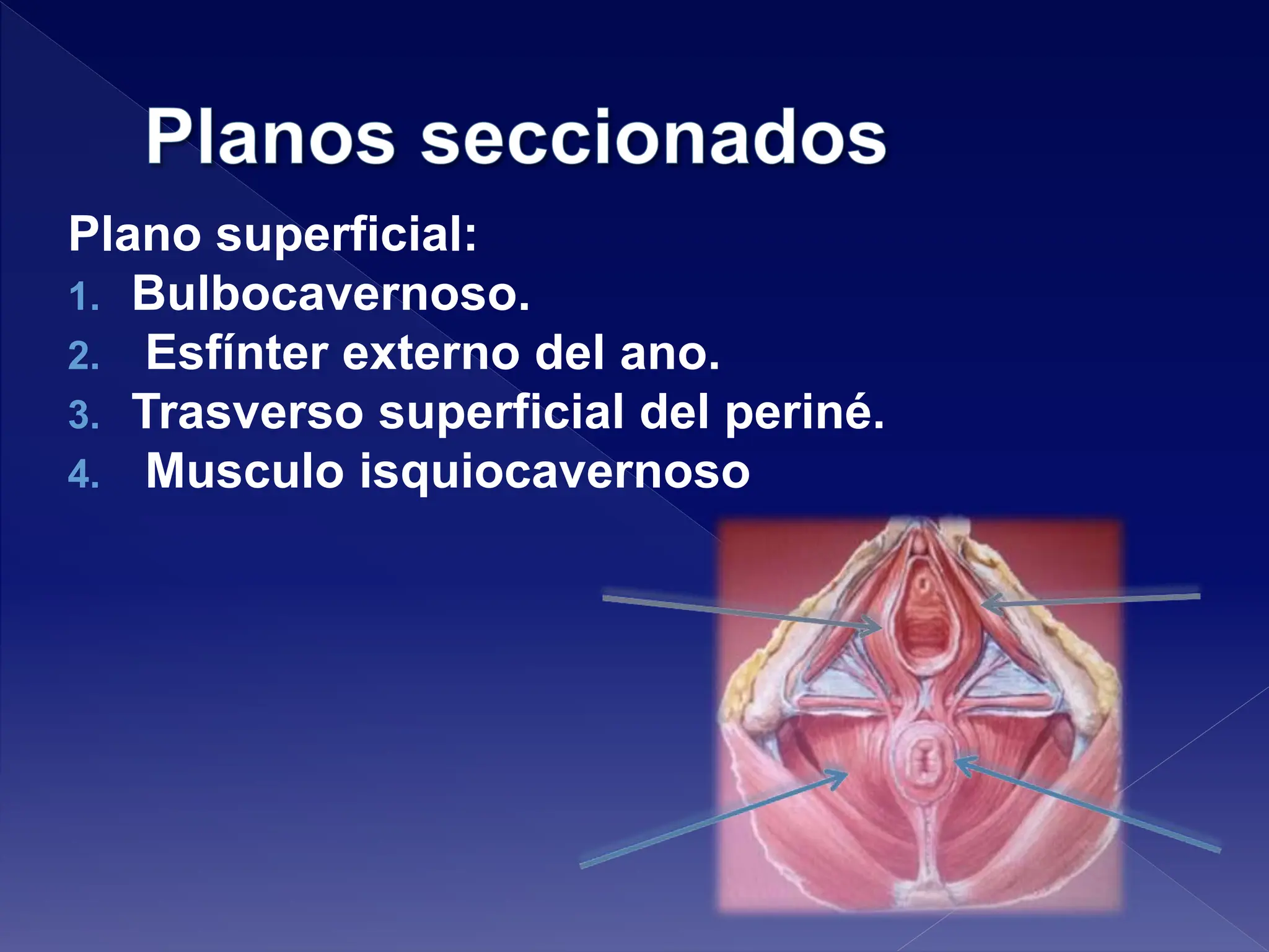 episiotomia , tipos de episiotomia, periné | PPTX | Pregnancy ...