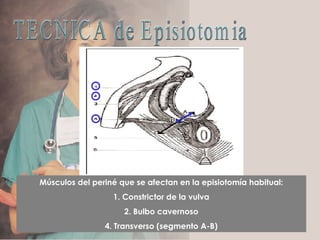 EPISIOTOMIA Y EPISIORAFIA | PPT