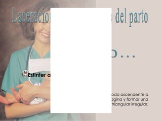 EPISIOTOMIA Y EPISIORAFIA | PPT