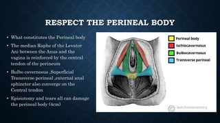 Episiotomy - Dr Mitra Saxena | PPTX