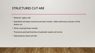 EPISIOTOMY, PERINEAL TEAR and their repair | PPTX