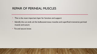 EPISIOTOMY, PERINEAL TEAR and their repair | PPTX