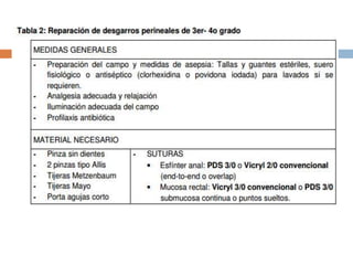 Episio y descarros GyO | PPTX