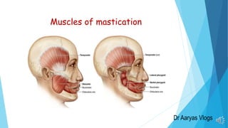 Muscles of Mastication | PPTX