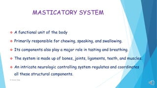 Muscles of Mastication | PPTX | Bodybuilding | Sports