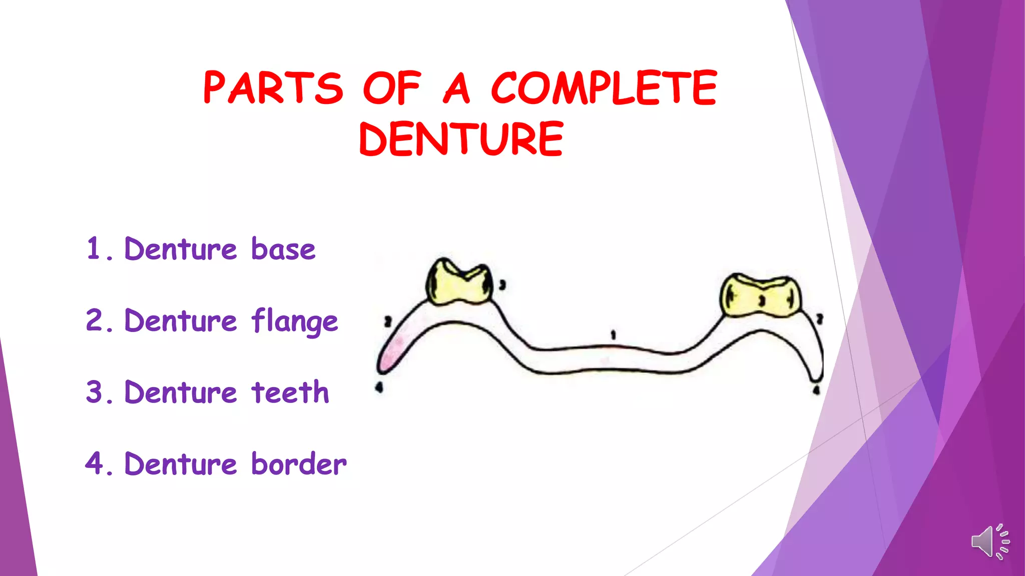 Components of a complete denture | PPTX
