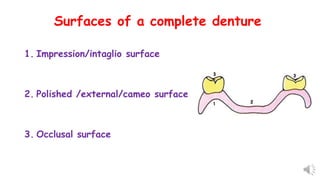 Components of a complete denture | PPTX