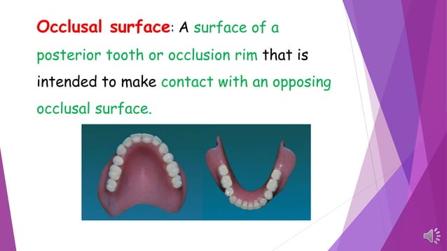 Components of a complete denture | PPTX