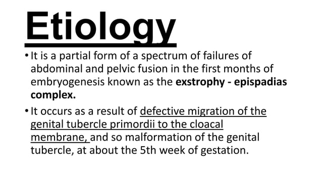 Epispadias | PPTX | Sexual Conditions | Sexual Health