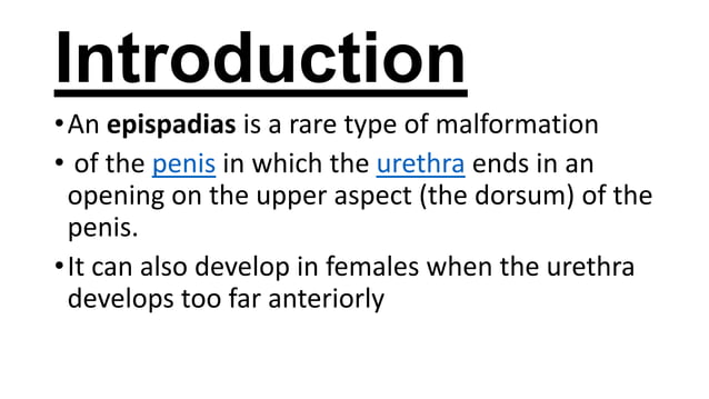 Epispadias 131104120306-phpapp01 (1) | PPT