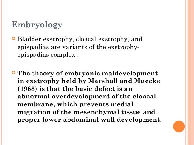 Epispadias Vs Hypospadias