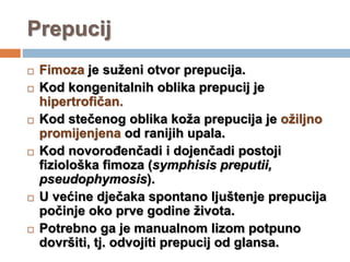 Epispadija, hipospadija | PPSX