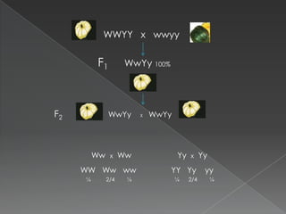 Epistasis | PPTX