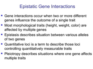 Epistasis | PPT