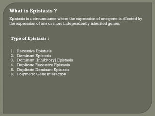 Recessive Epistasis | PDF