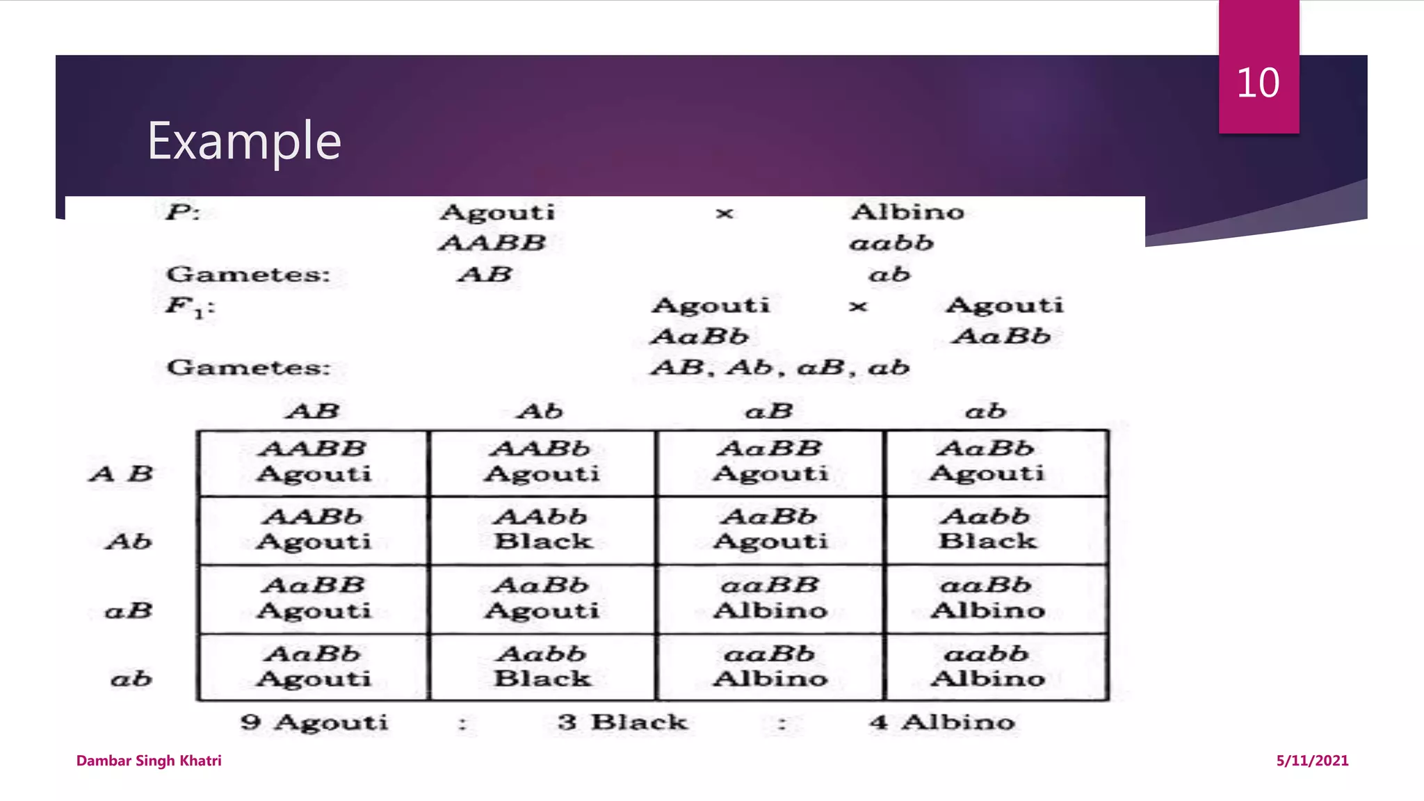 Epistasis/class 12 biology | PPTX