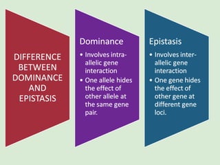 Epistasis | PPT
