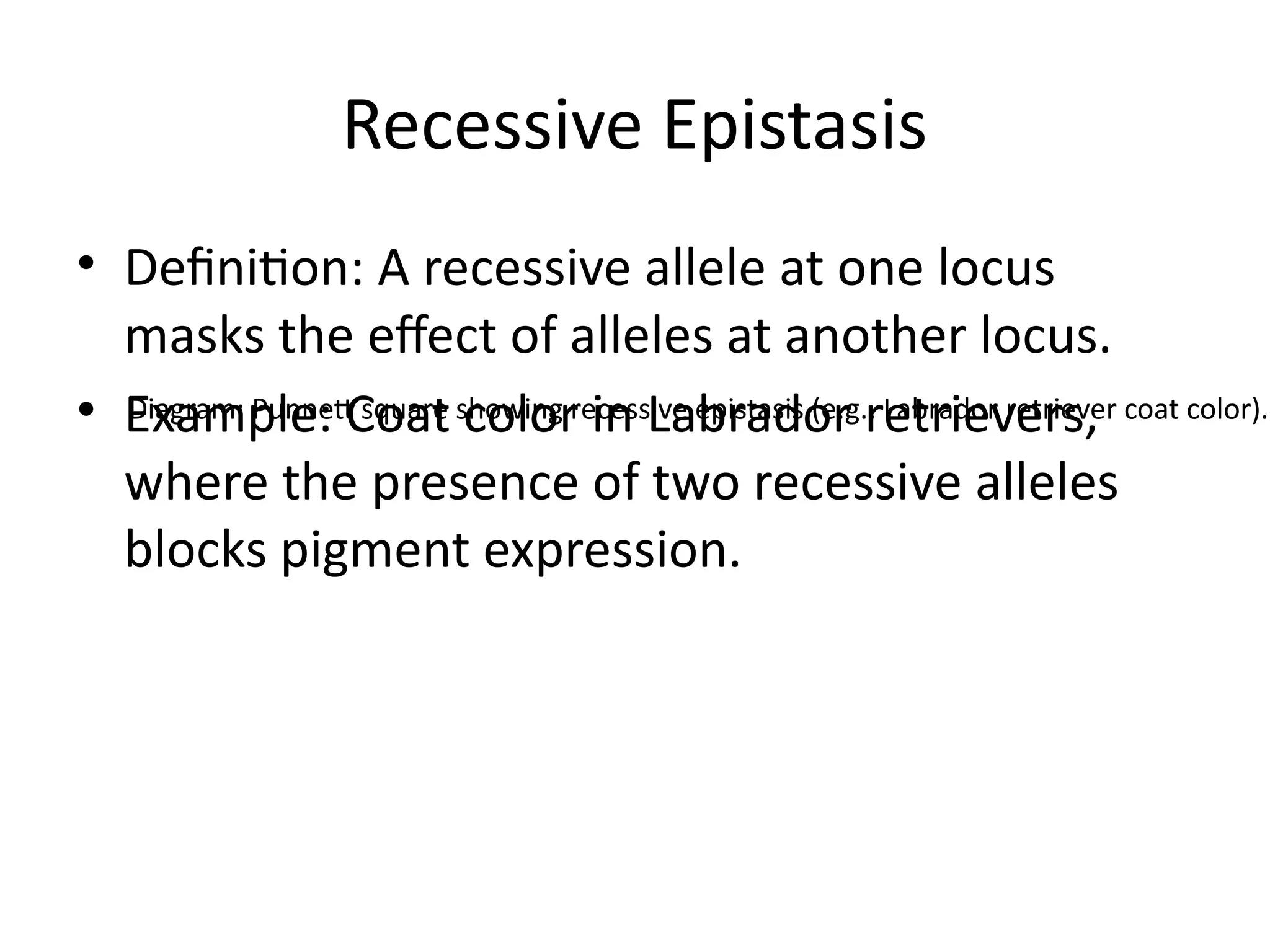 Epistasis_Presentation_Mevis_Sultana_with_Diagrams.pptx