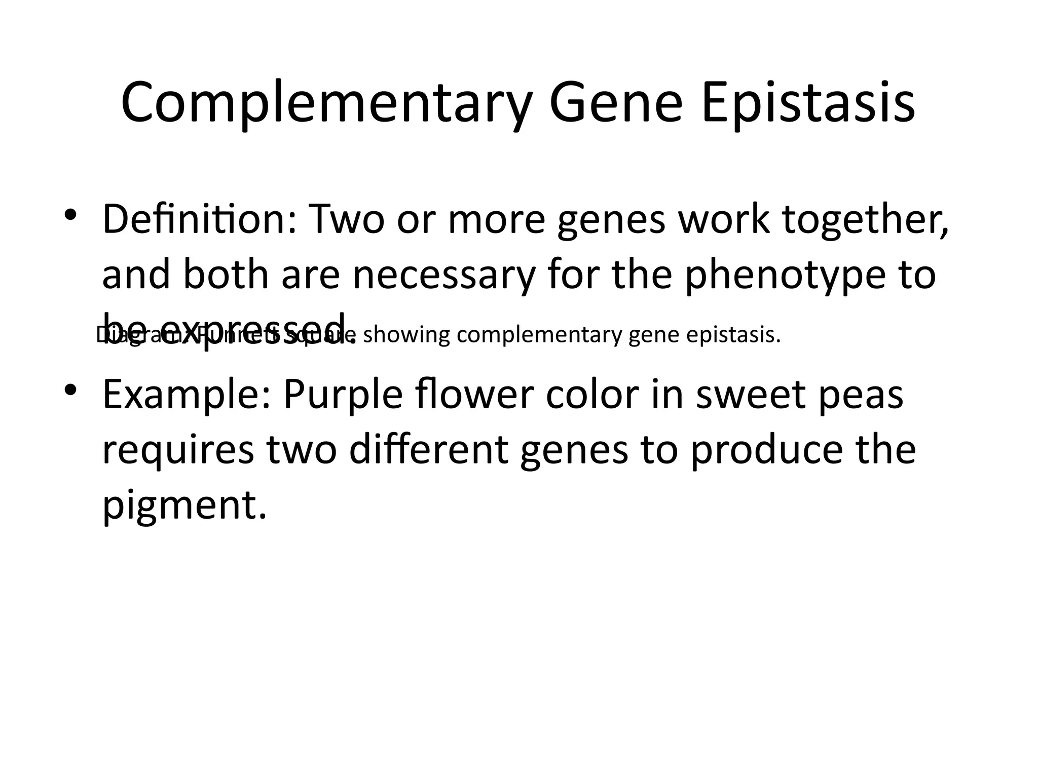 Epistasis_Presentation_Mevis_Sultana_with_Diagrams.pptx