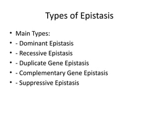 Epistasis_Presentation_Mevis_Sultana_with_Diagrams.pptx