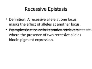 Epistasis_Presentation_Mevis_Sultana_with_Diagrams.pptx